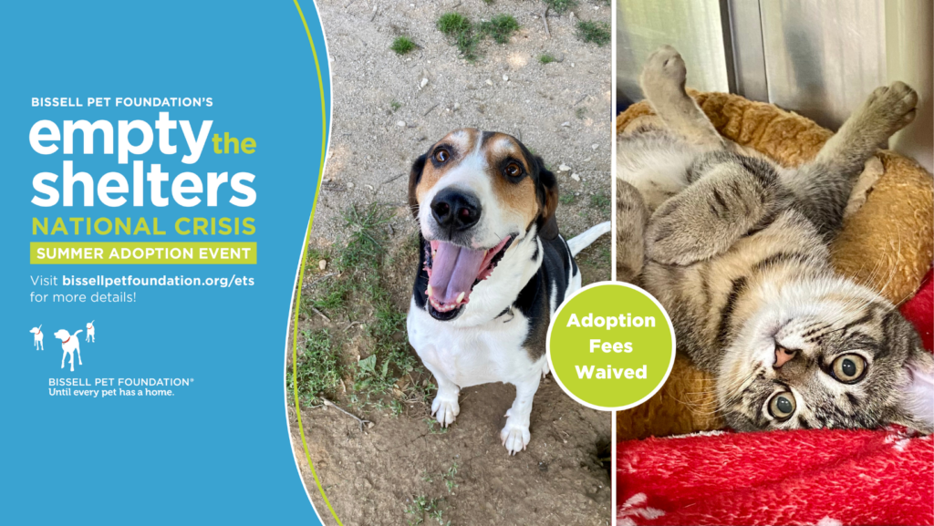Summer Empty The Shelters Event - Greene County Humane Society